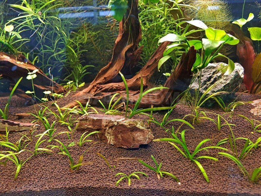 Пропант-аквариумный нейтральный грунт