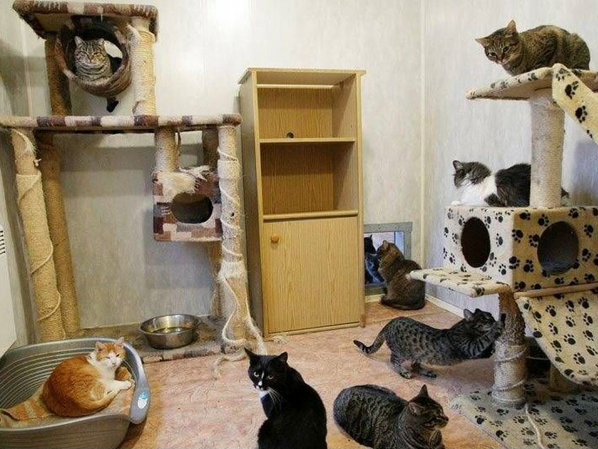 Могут оказаться на улице помогите