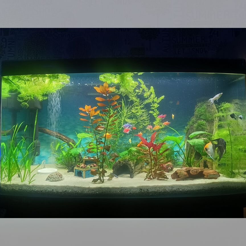 Грунт для аквариума - Кварцевый песок