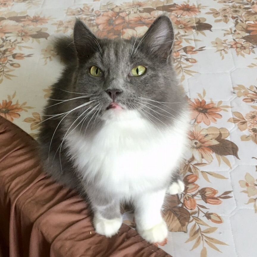 Ксюшенька ждет тебя