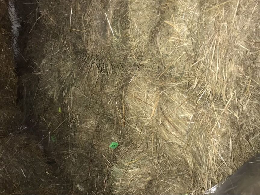 Сено в тюках, кипах 12 кг рязанское