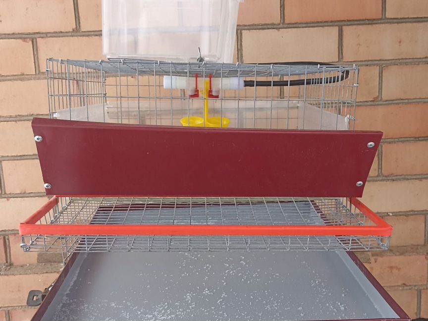 Клетки для перепелов