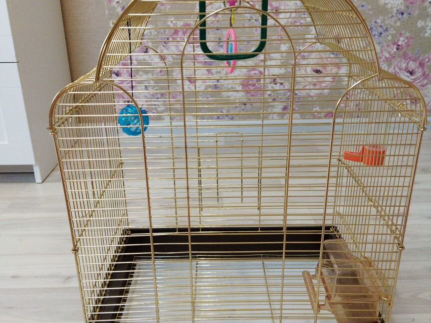 Клетка для попугая бу