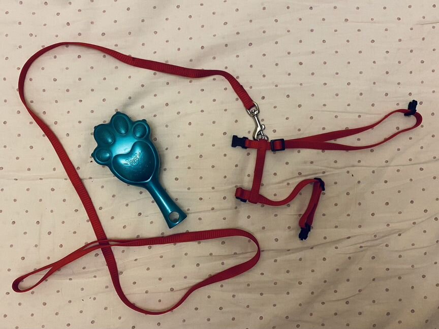 Шлейка для кролика расческа