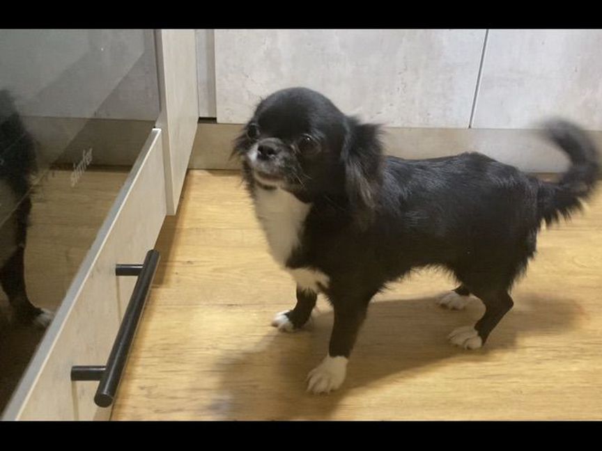 Черная девчушка