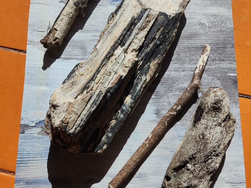 Коряги дрифтвуд