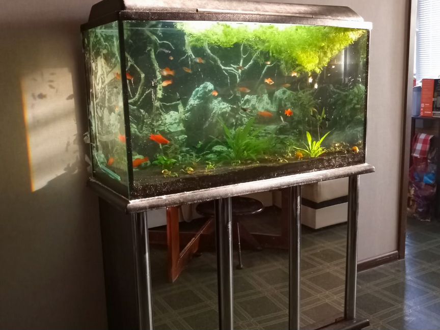 Аквариум 220 литров полный комплект + ещё 4 шт