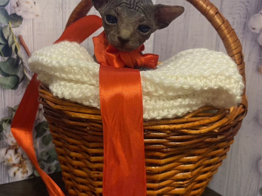 Малыш бамбино