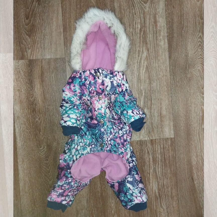 Одежда для собак мелких пород