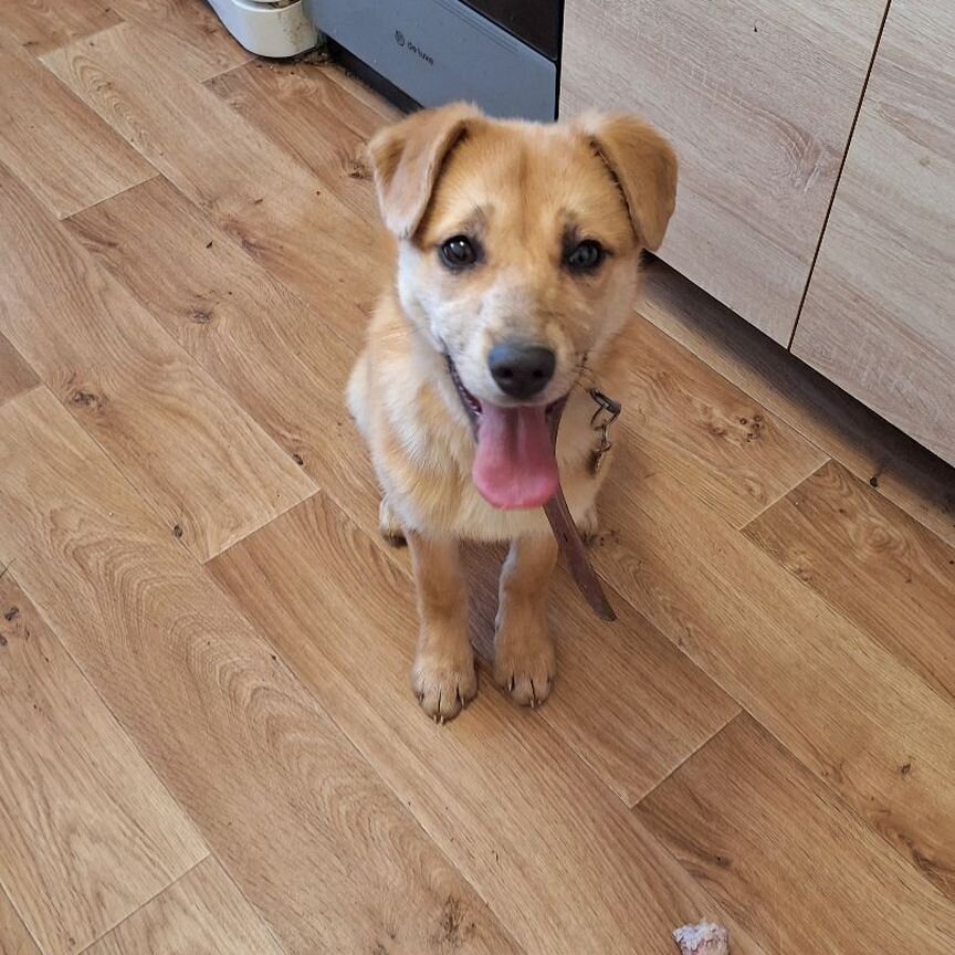 Дара в любящую семью