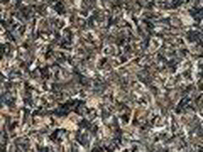 Отходы семян подсолнечника