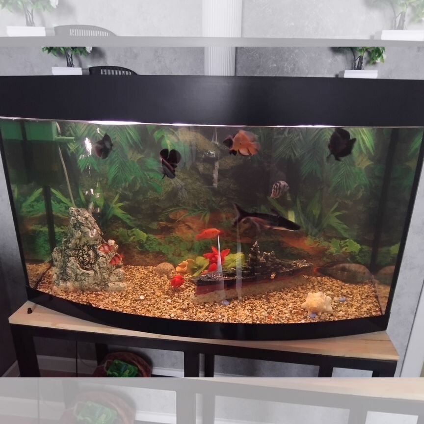 Аквариум 300л с жител
