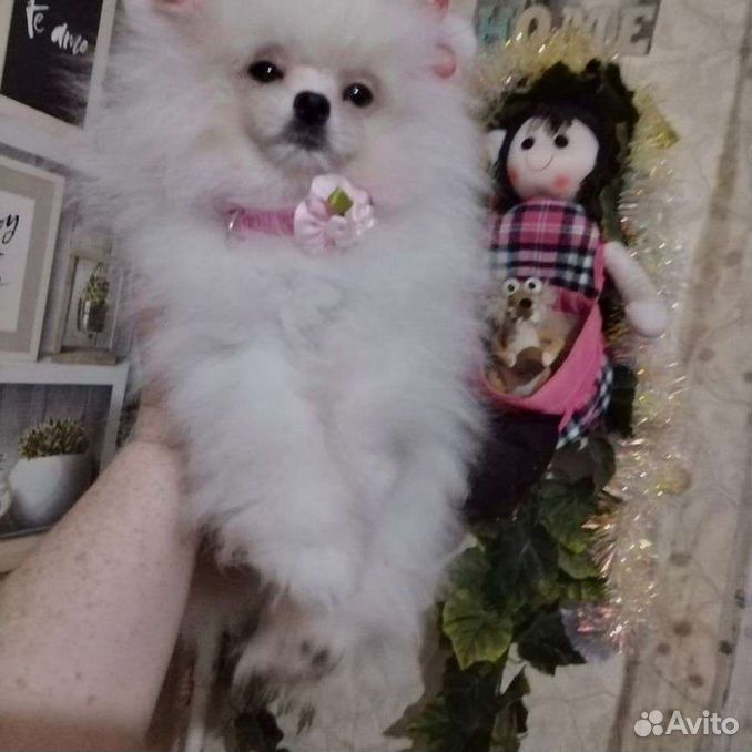 Миленькая девочка