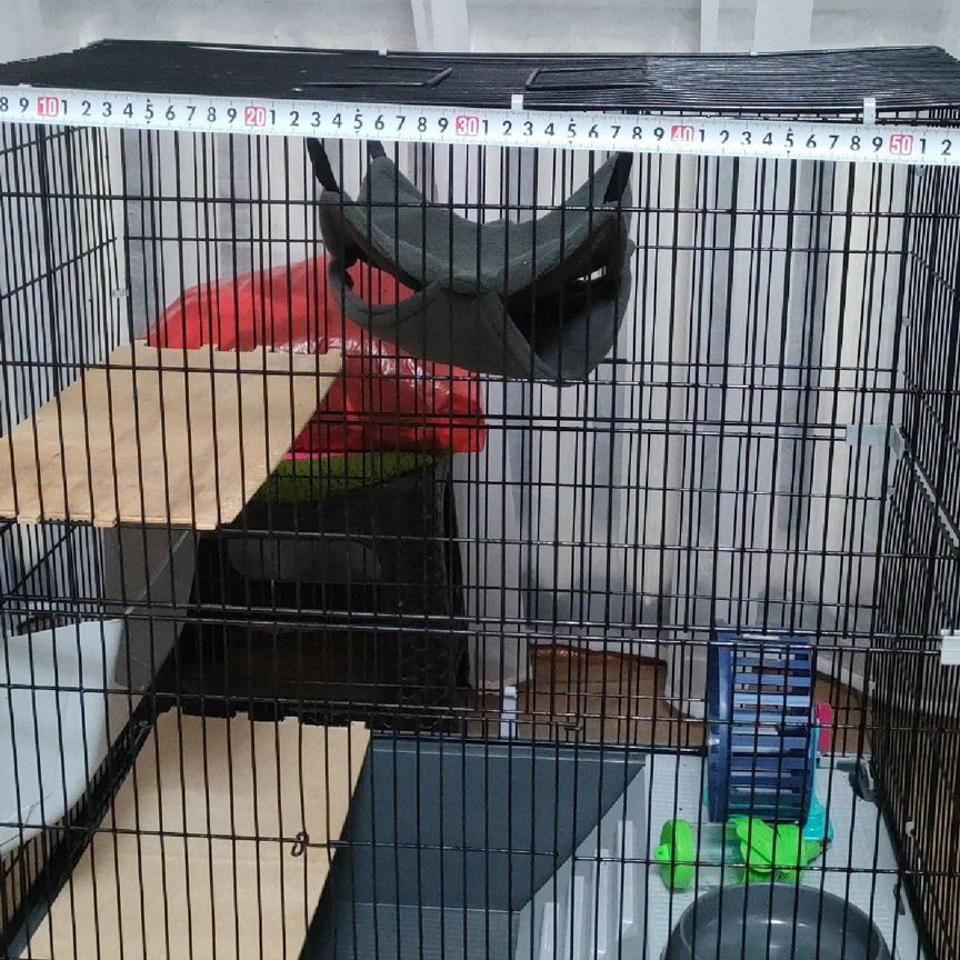 Продам клетку б/у, дефекты видны на фото