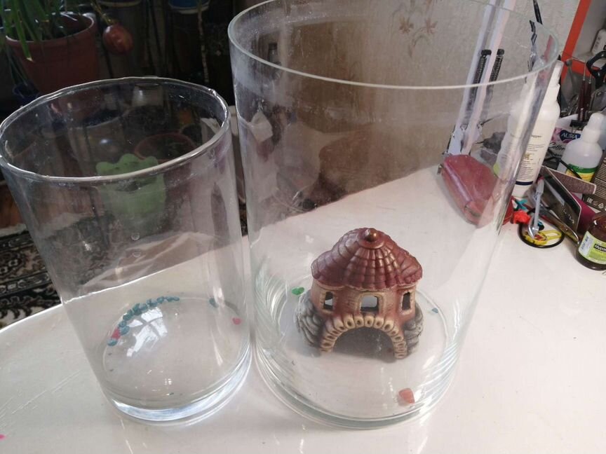 Аквариумы много для рептилий и рыб