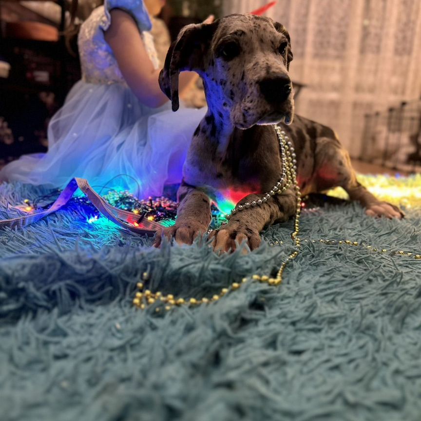 Красавец Ямал