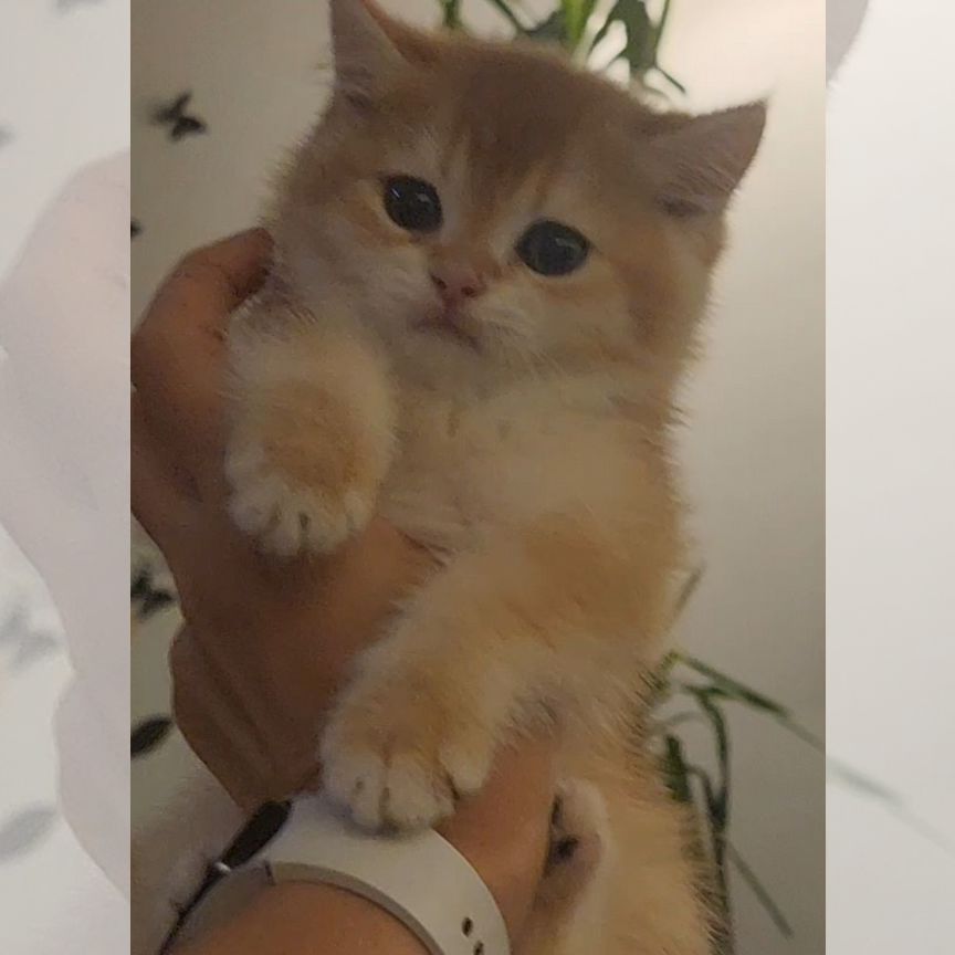 Мальчик