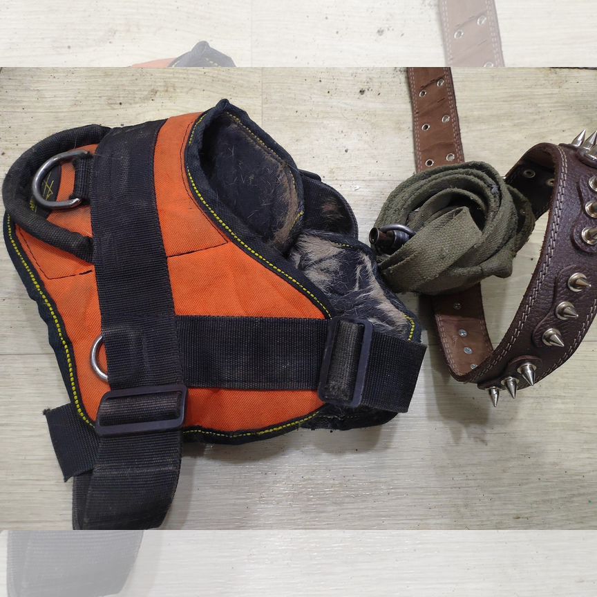 Шлейка для крупных собак, ошейник, поводок