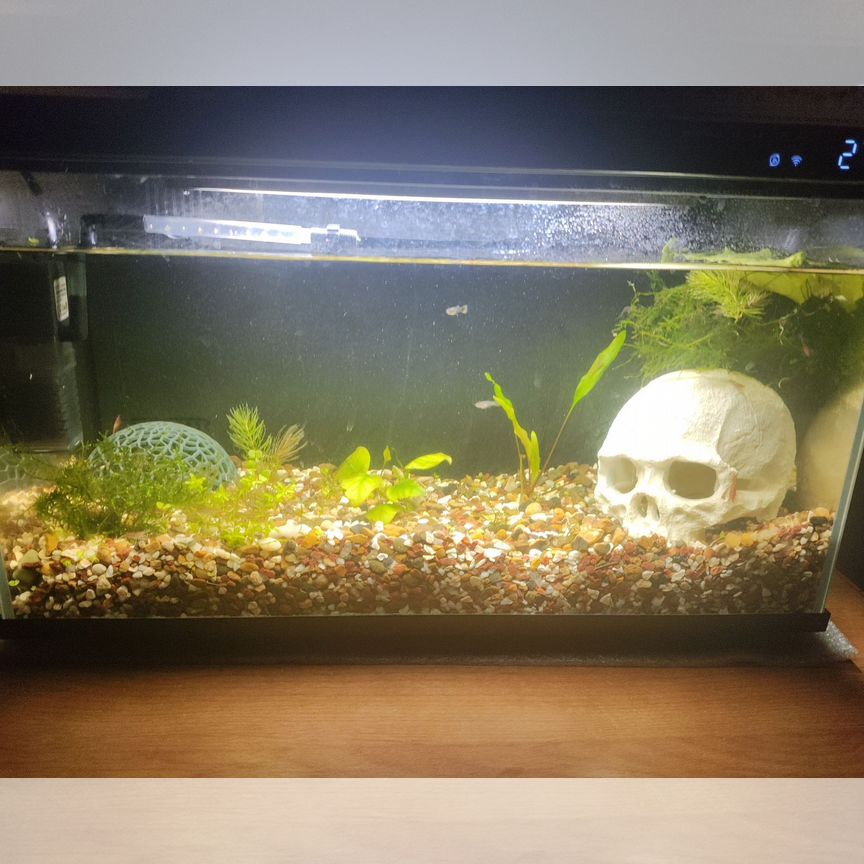 Умный аквариум xiaomi 20