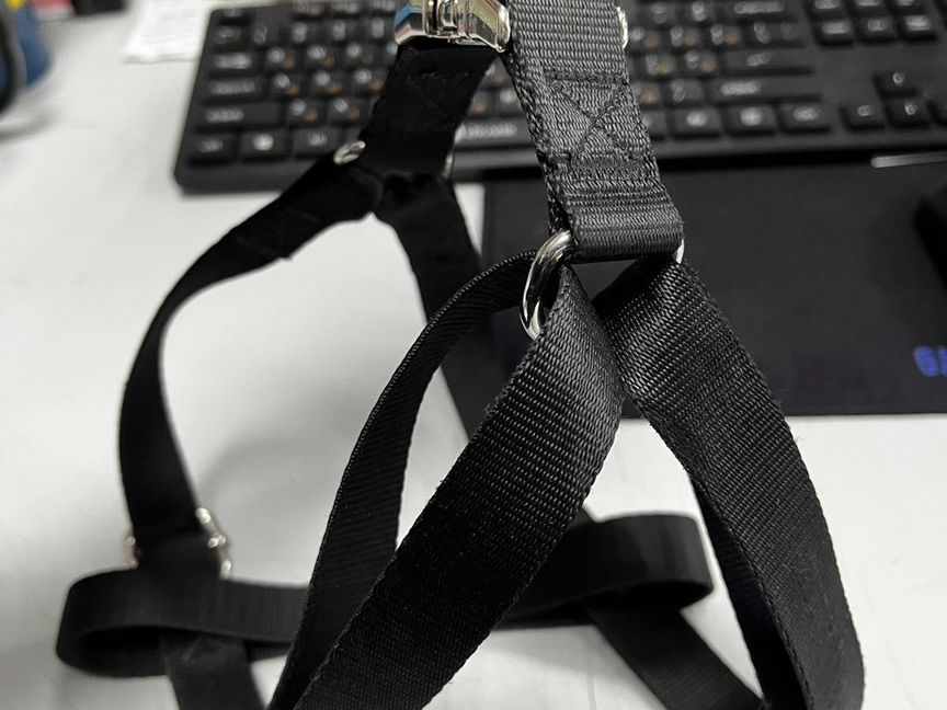 Шлейка для собаки