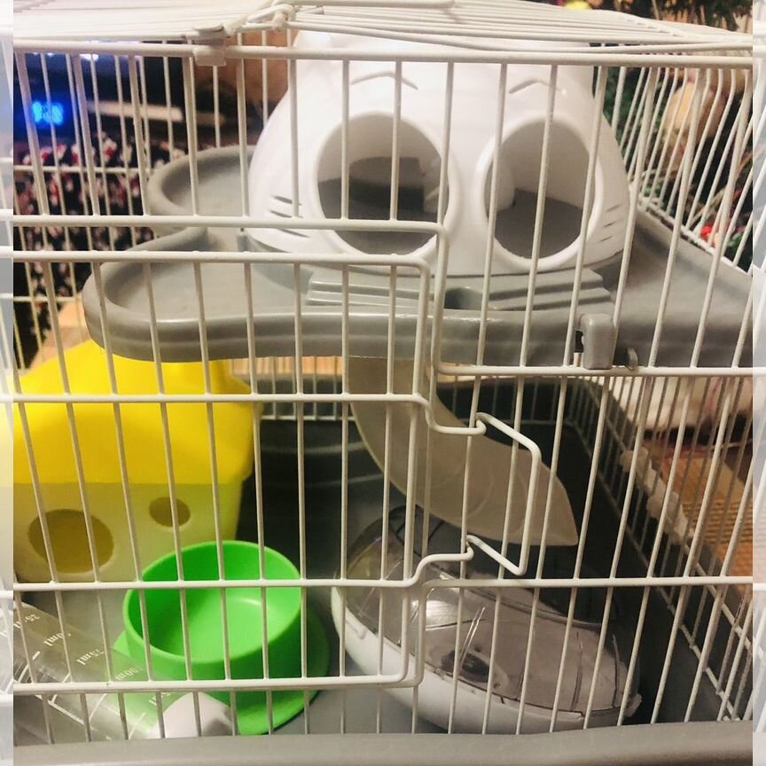 Клетка для джунгарского хомяка