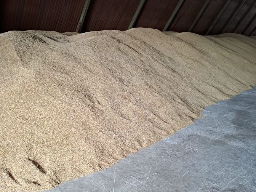 Продам зерно