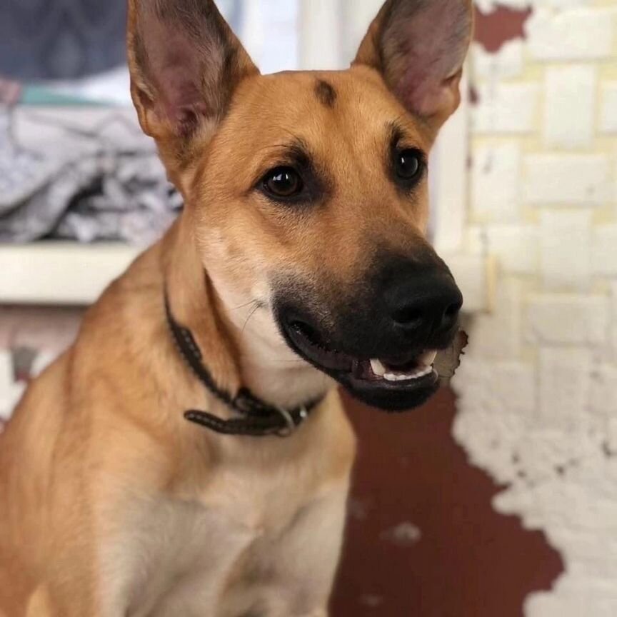 Полный нолик