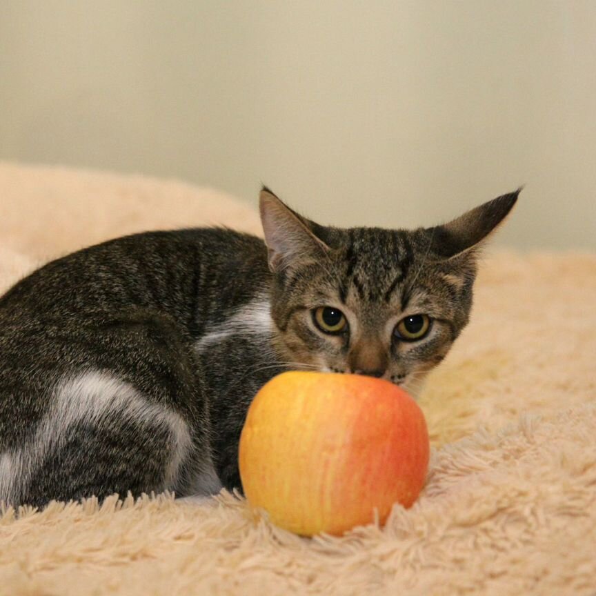 Подросток Машенька 5 месяцев