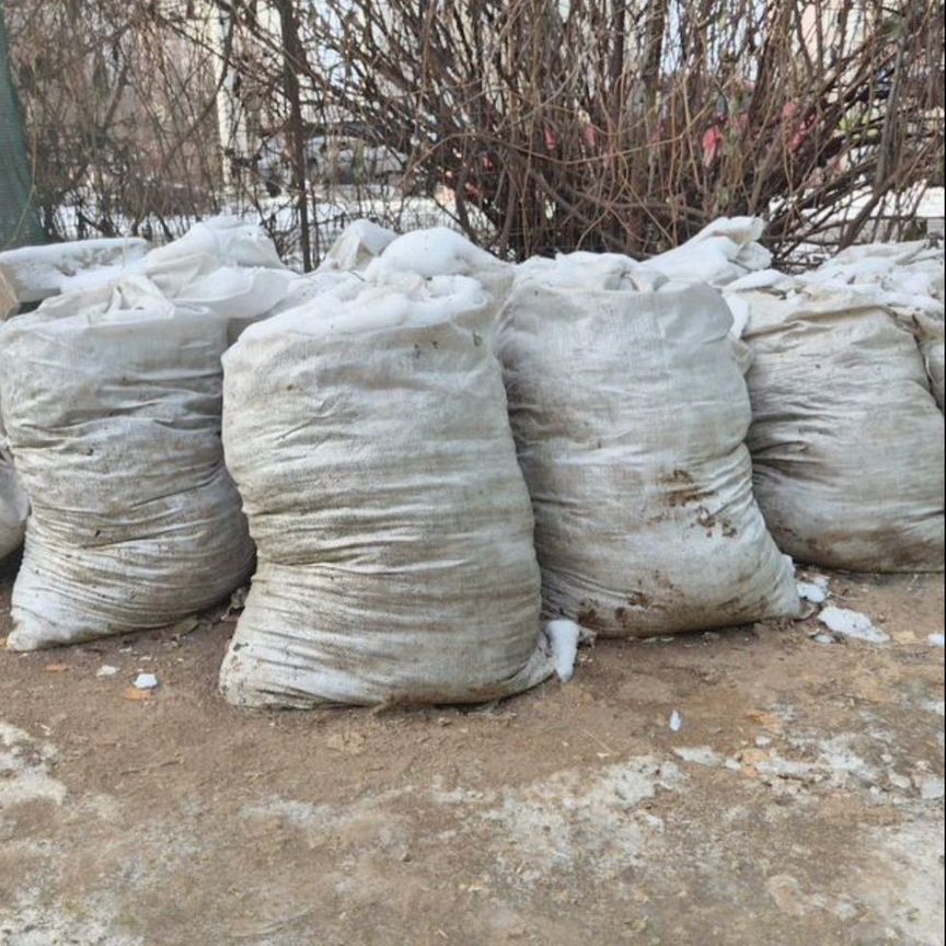 Помет голубиные пять мишков отдам бесплатно