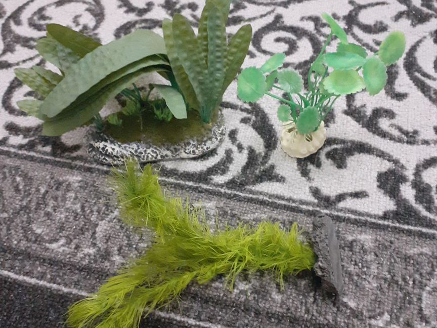 Предметы для аквариума и грызунов