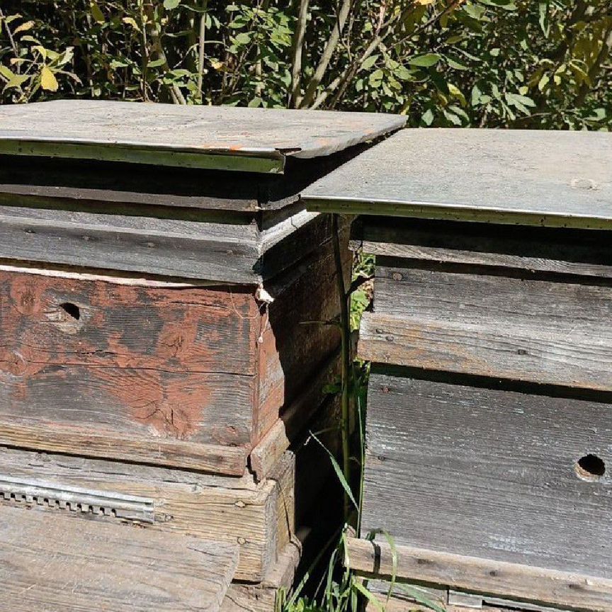 Ульи для пчел 10 рамочные