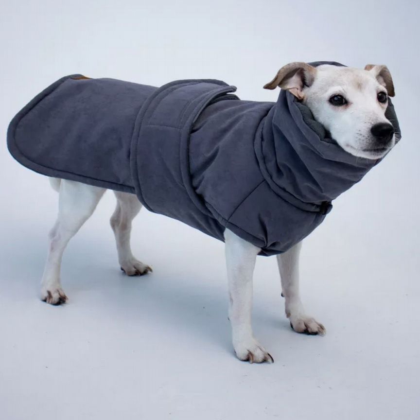 Попона для собаки среднего размера