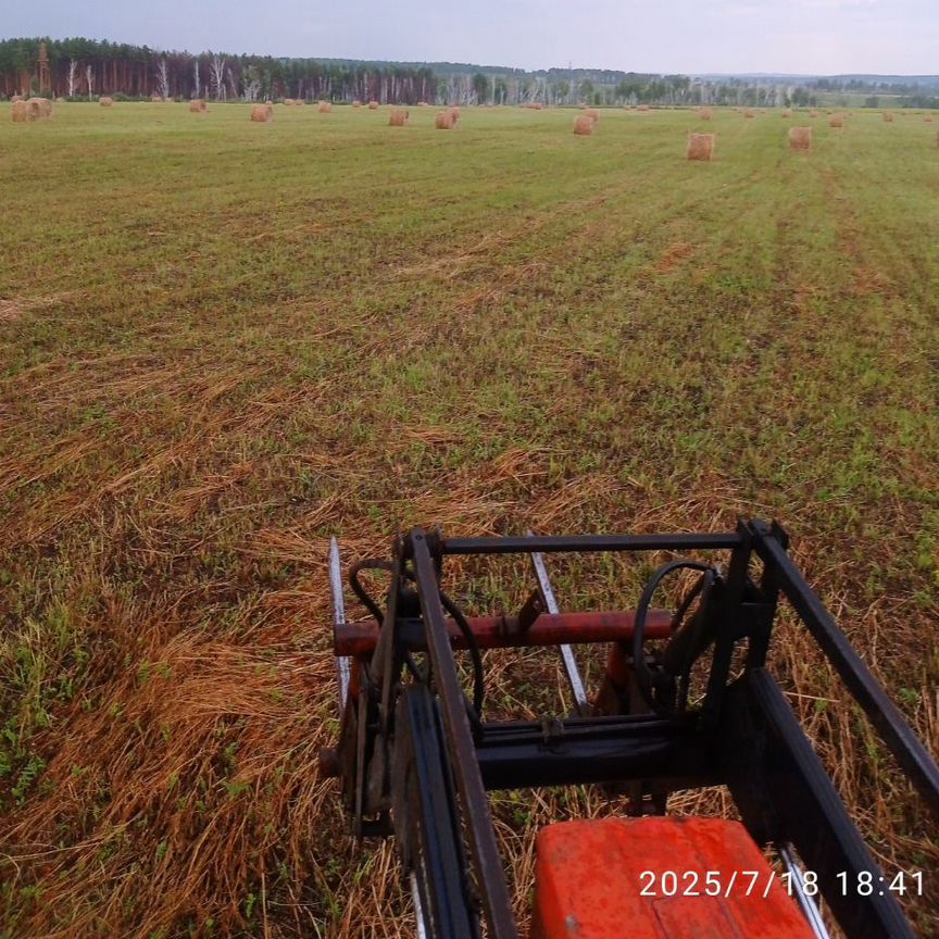 Продам сено в рулонах