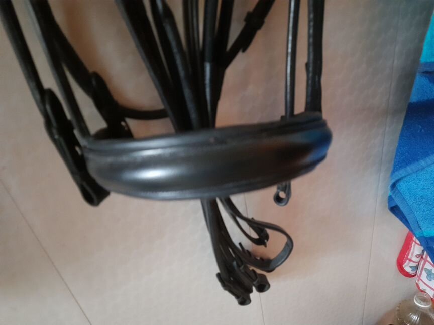 Оголовье мундштучное