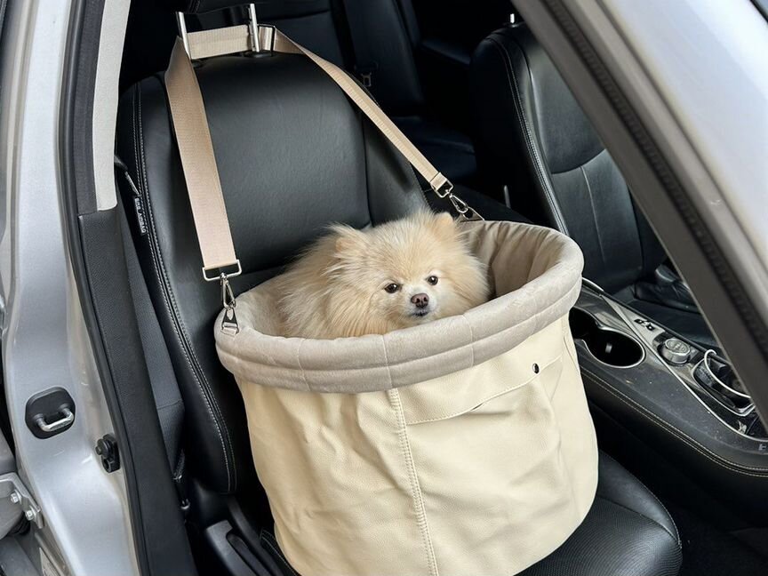 Автокресло для собак (переноска для машины )