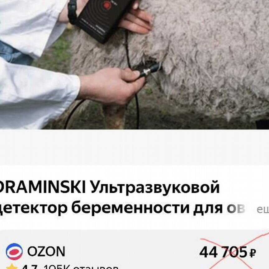 Детектор беременности Драмински для коз и овец