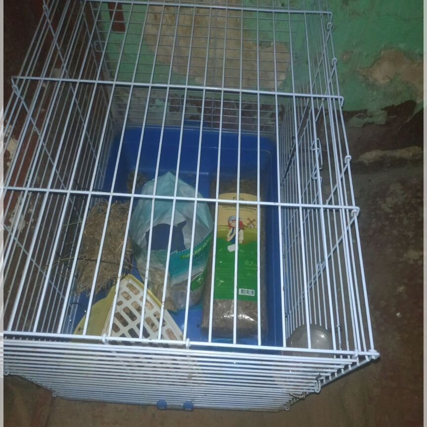 Клетка большая