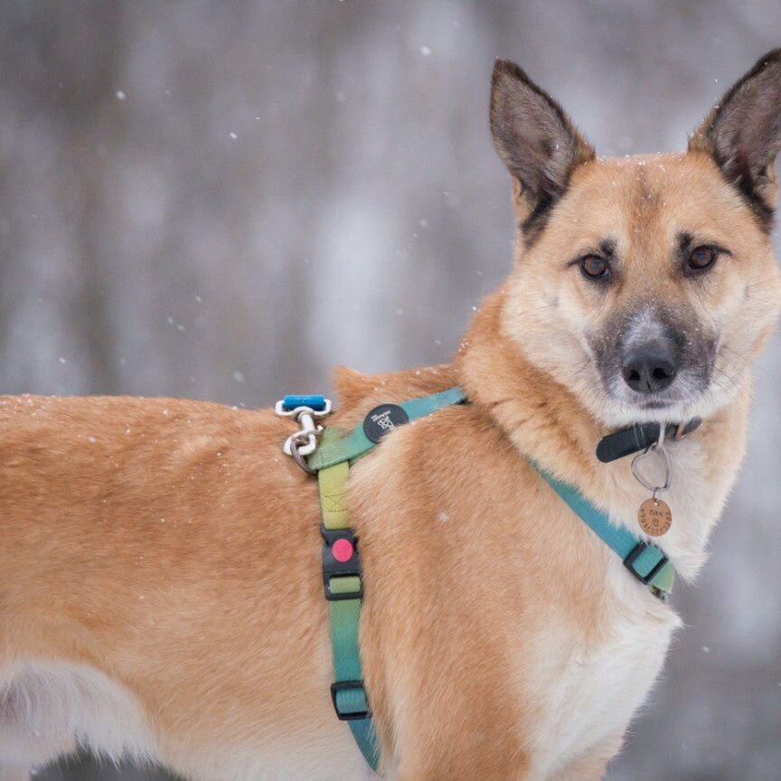 Малыш Пич теряет надежду оказаться дома