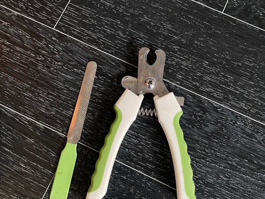 Набор для собак