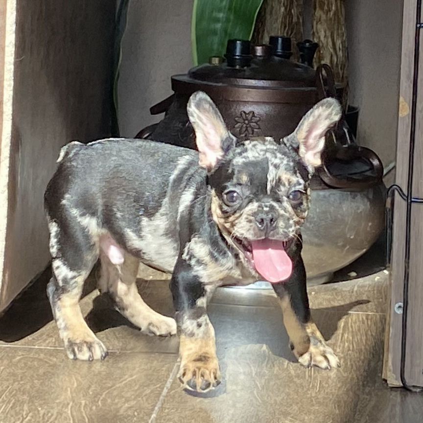 Самый лучший мальчишка