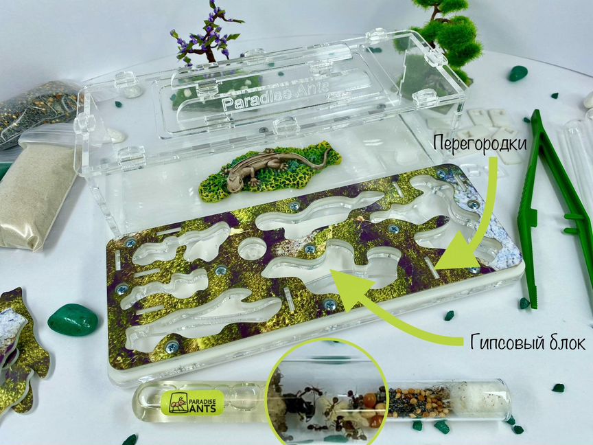 Муравьиная ферма