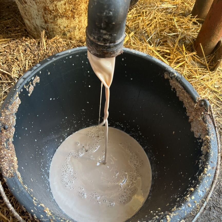 Продам молочные коктели на розлив животным