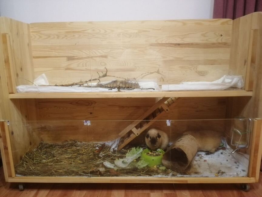 Продам двухэтажный домик для морских свинок