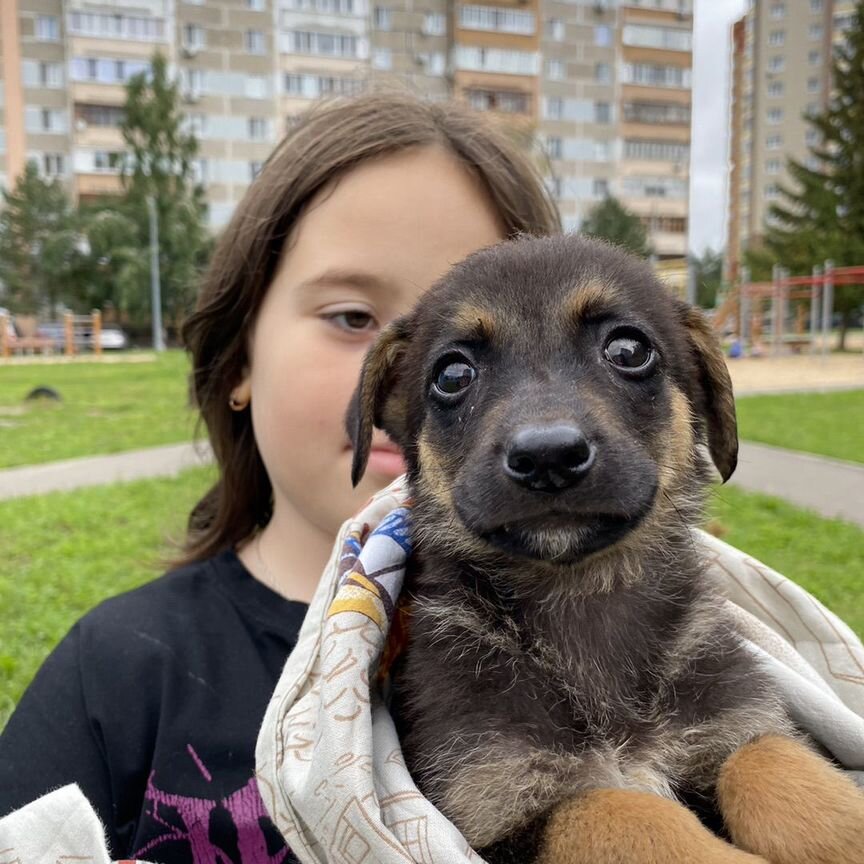 Малюсенький мальчик в добрые руки
