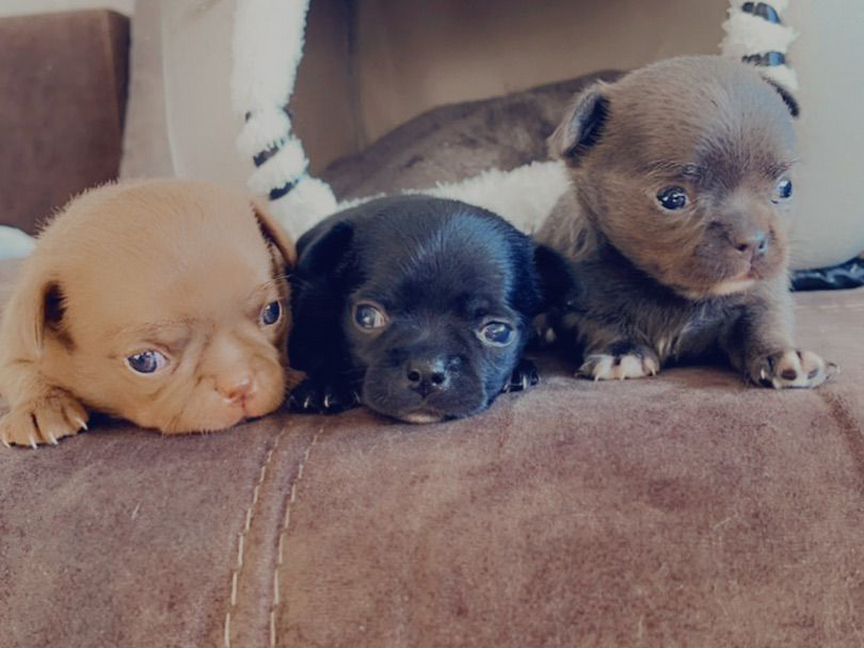 Сладкие няшные мальчики