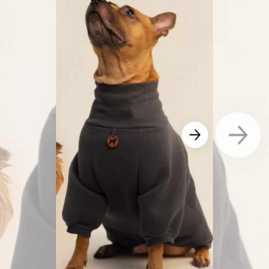 Толстовка для собак крупных пород