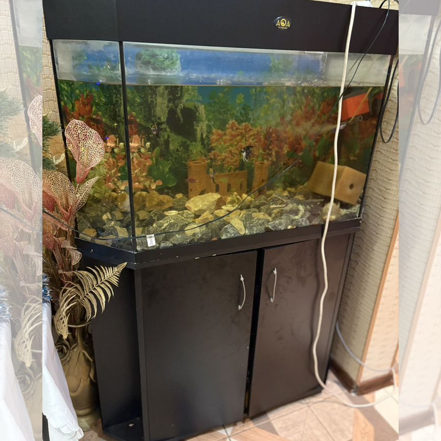 Аквариум с тумбой бу 200л