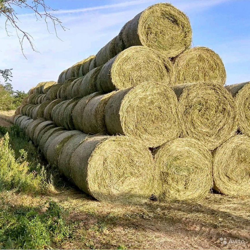 Сено солома в тюках