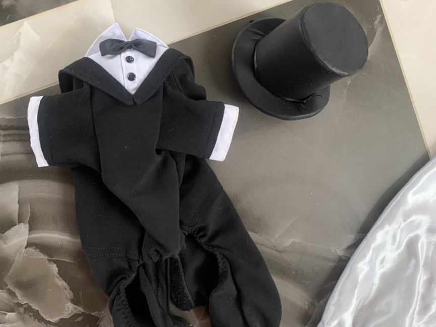 Костюм на собаку