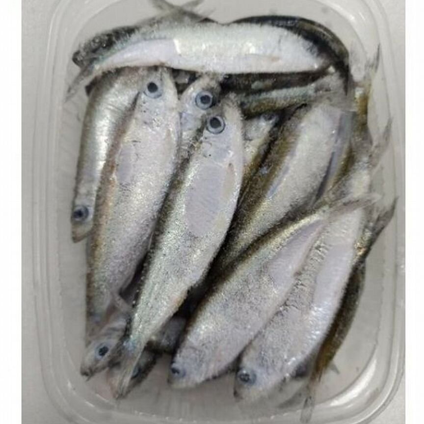 Тюлька замороженная